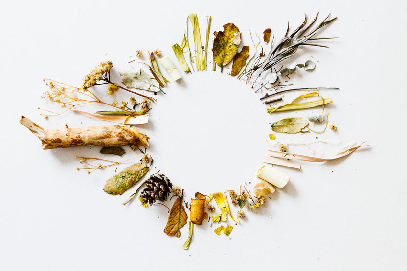 About Herbs Meta - TCM Heritage & Holistic Wellness